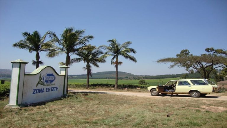 Tanganda saves US$700K by switching to green energy – Etimes